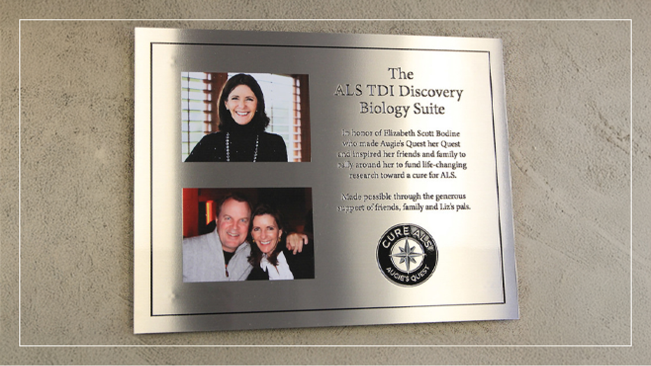 A Guide to Timeless Memorial Plaque Wording - Impact Signs